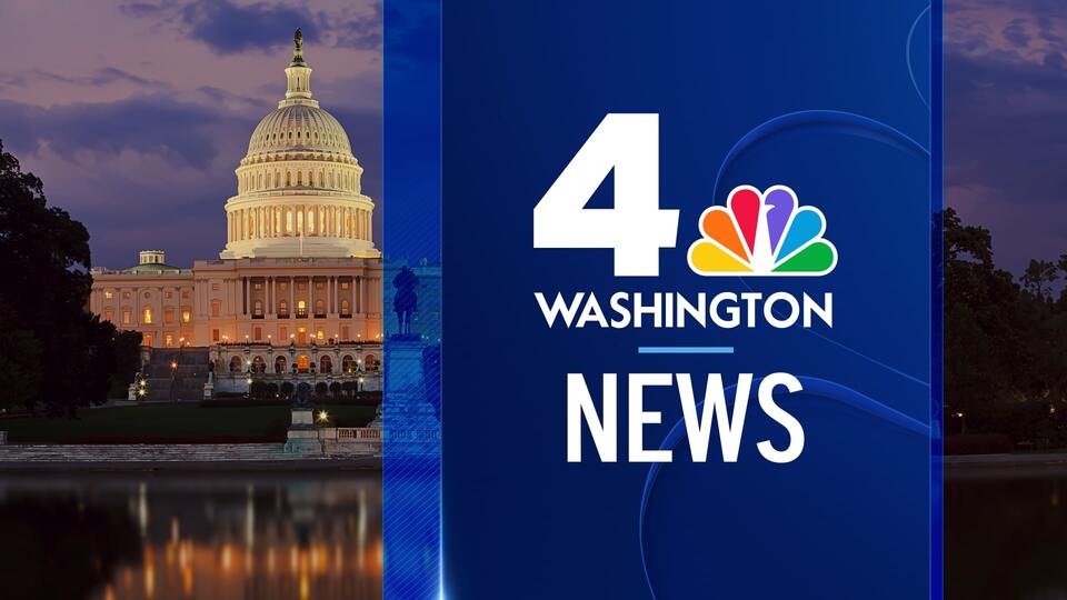 How voting demographics changed between 2020 and 2024 elections – NBC4 ...