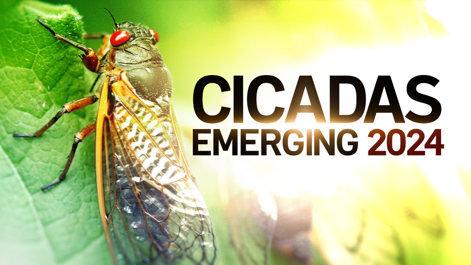 Kye Martin – NBC Chicago