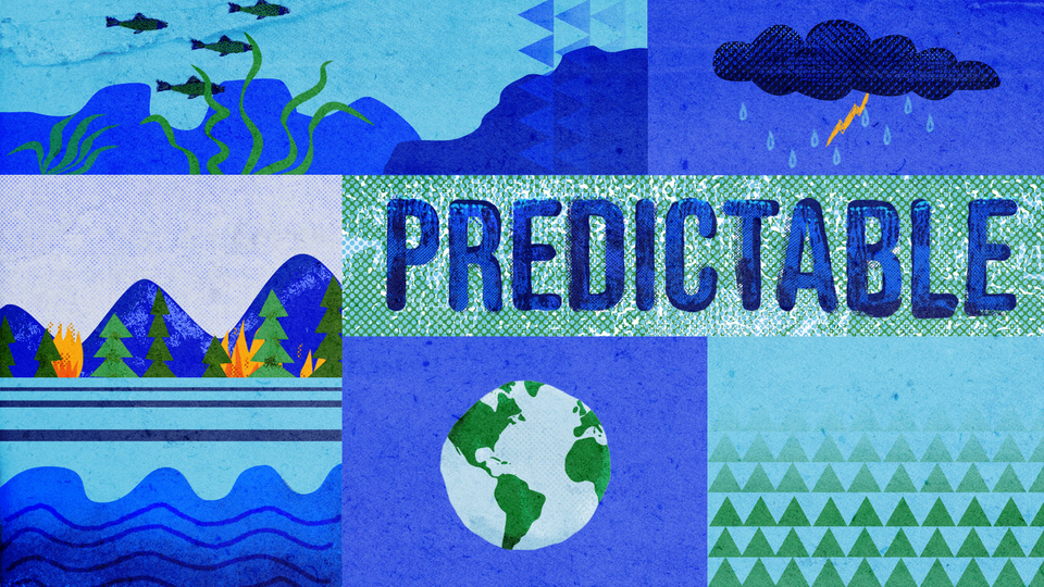 Shark kills beachgoer off Sydney beach – NBC New York